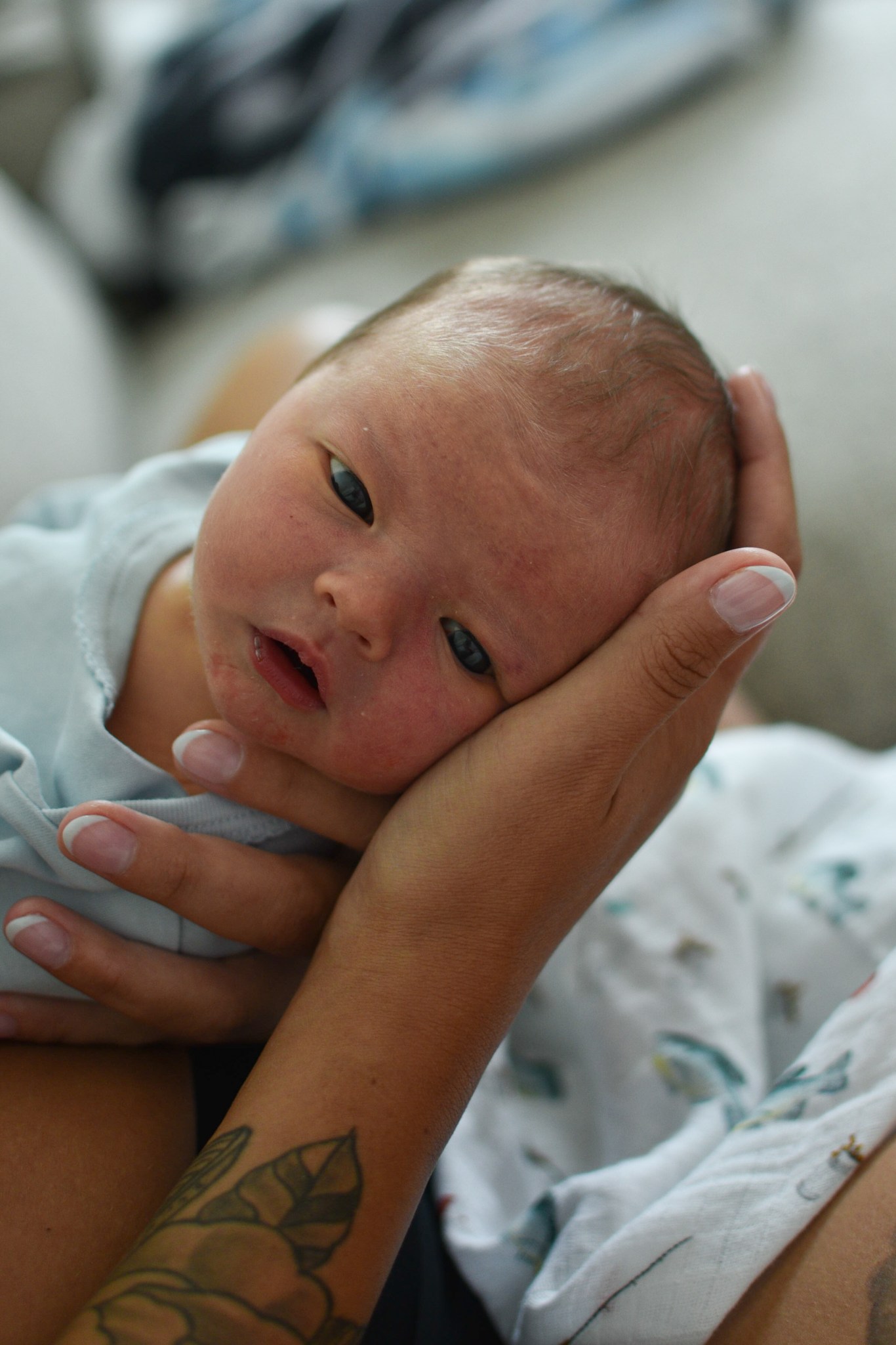 The Birth and Beginning – Momoirist